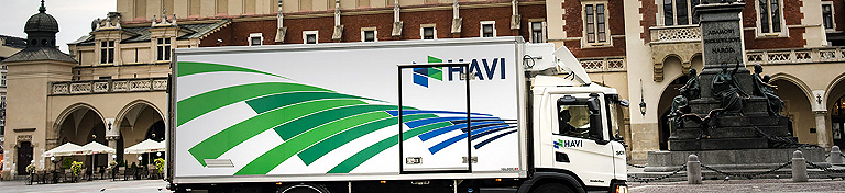 Oferta pracy Master Data Governance & Stewardship Lead, HAVI Global ...