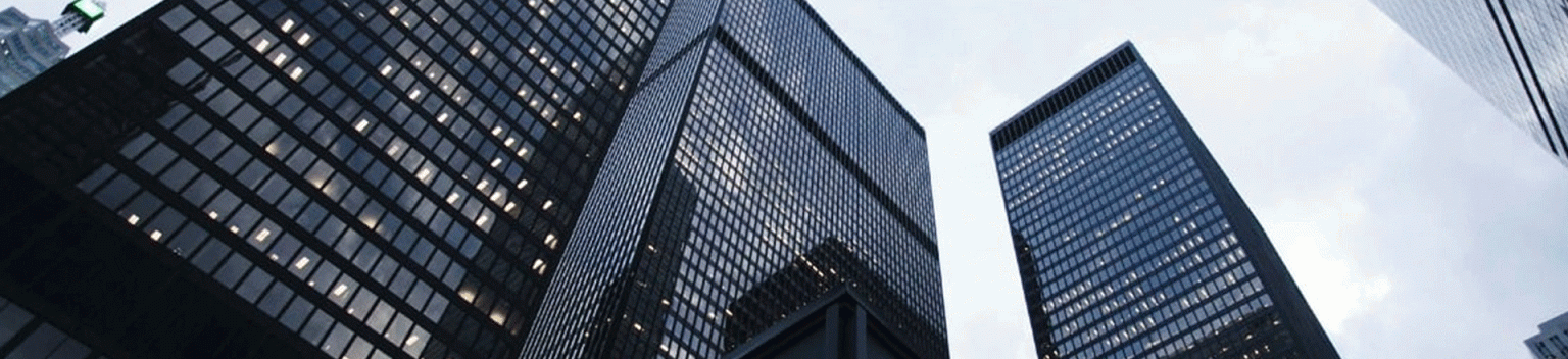 Oferta pracy Penetration Tester, NESS SOLUTION sp. z o.o., Warszawa