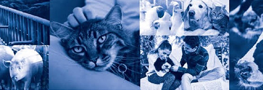 Praca Warszawa – sprzedaz.Pracuj.pl