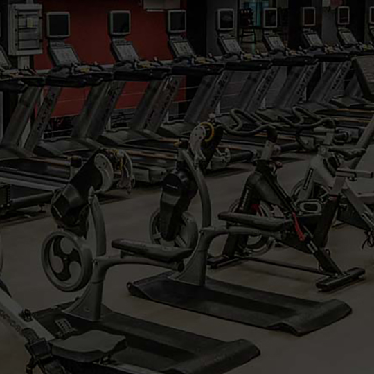 Praca Tarnów – Pracuj.pl