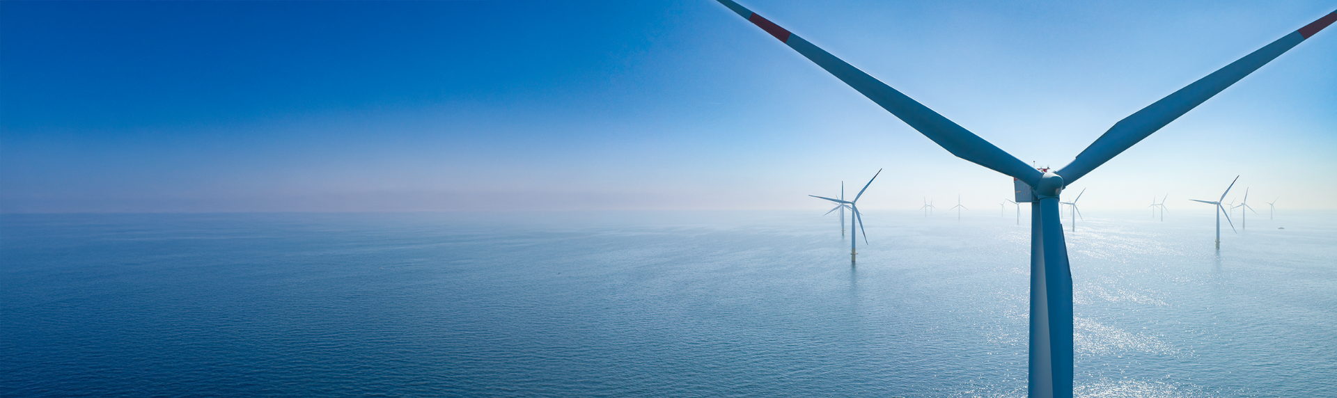 Work in company Muehlhan Wind Service Poland Sp. z o.o. - employers profile