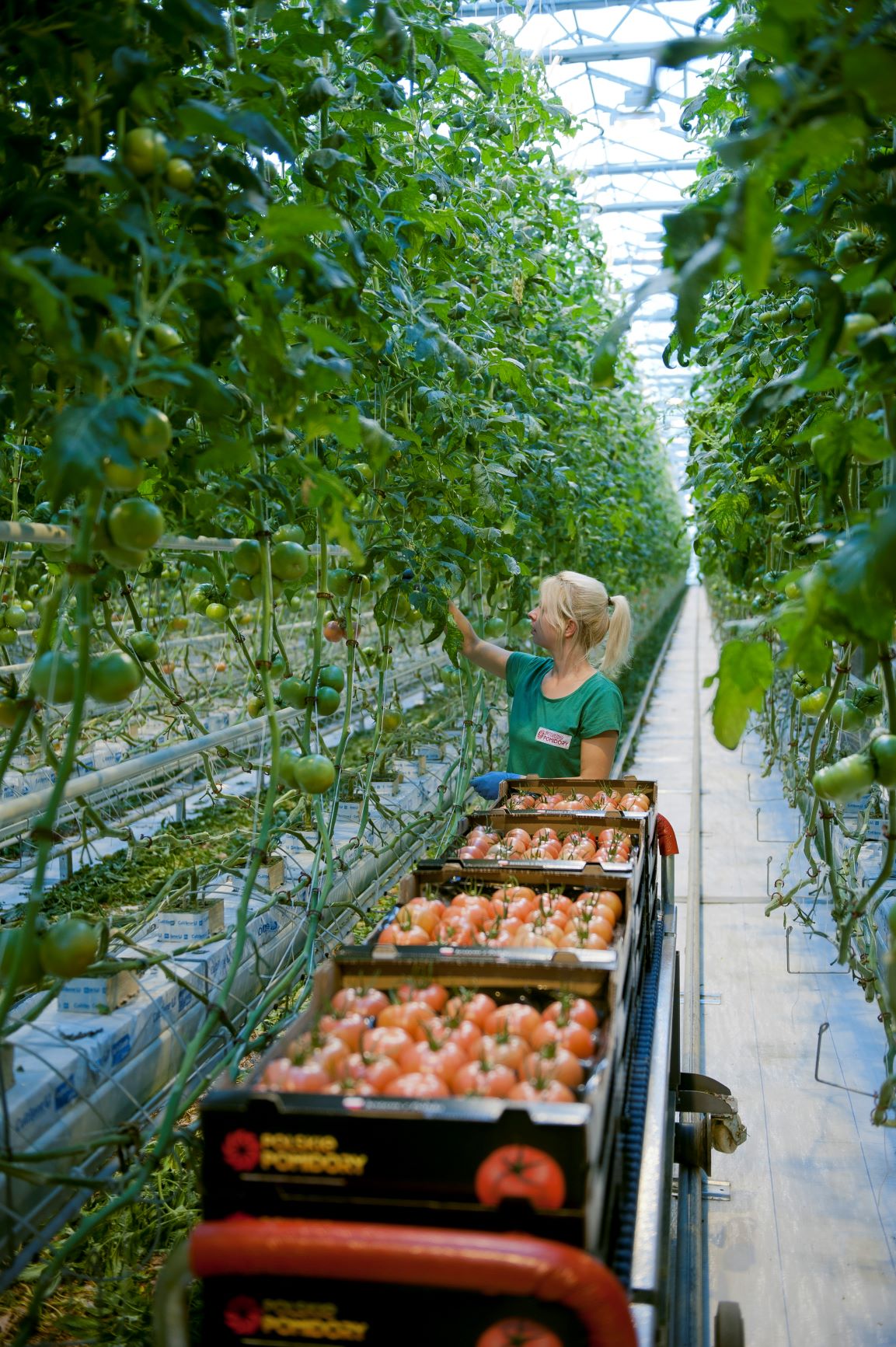Oferta pracy Specjalista ds. Legalizacji Zatrudnienia Cudzoziemców ...