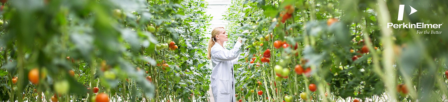 Oferta pracy Intern in Service Operations, PerkinElmer Polska Sp. z o.o ...