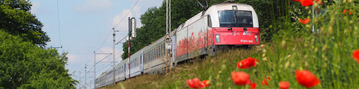 Praca w firmie IFA POWERTRAIN POLSKA SP. Z O.O. – profil pracodawcy