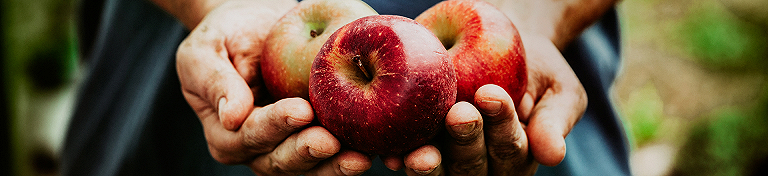 Oferta pracy Kierownik Techniczny / Kierowniczka Techniczna, Döhler Sp ...