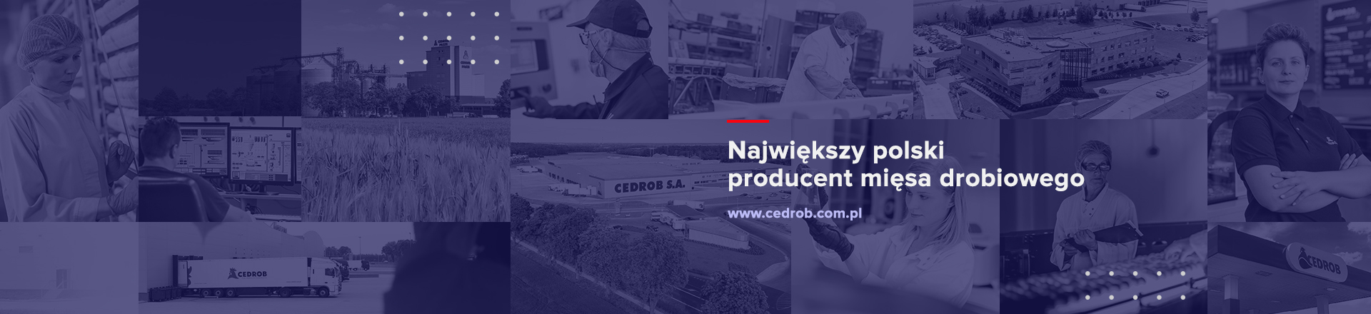 Oferta pracy Specjalista ds. Technicznych, CEDROB S.A., Skarżynek (pow ...