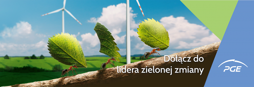 Praca w firmie Ligentia Poland Sp. z o.o. – profil pracodawcy