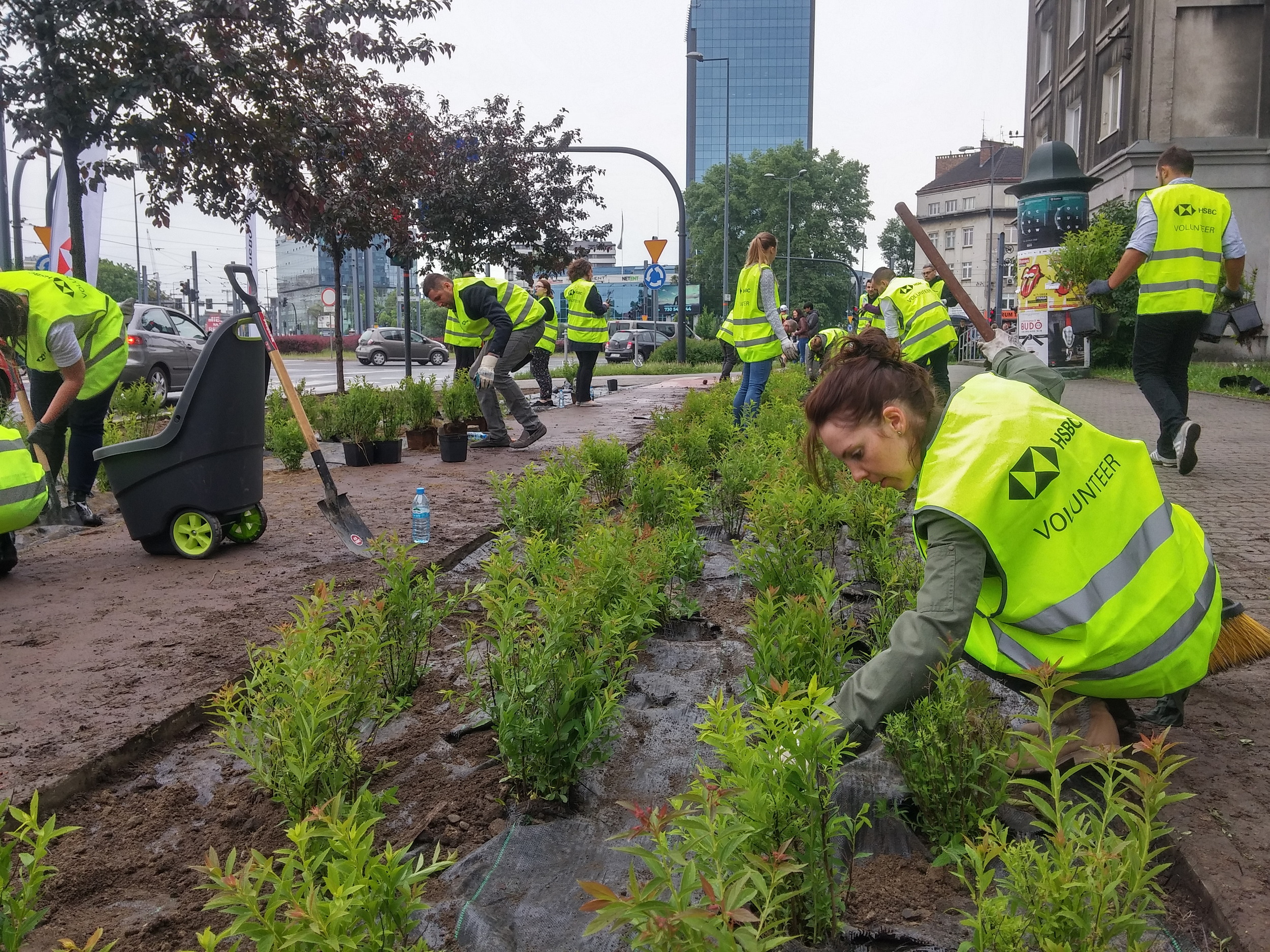 Oferta pracy Vice President Group Transformation - Risk and Framework ...