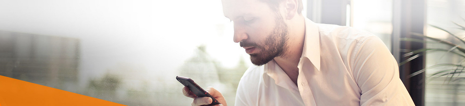 Oferta pracy Informatica MDM Consultant, Integral Solutions, Warszawa