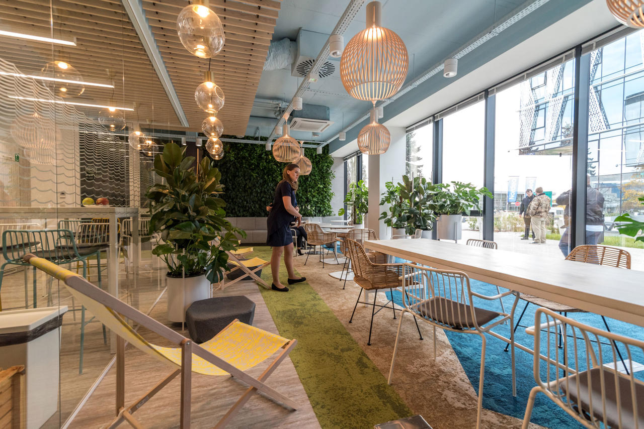 Oferta pracy Occupational Health and Safety (OHS) Senior/Chief ...