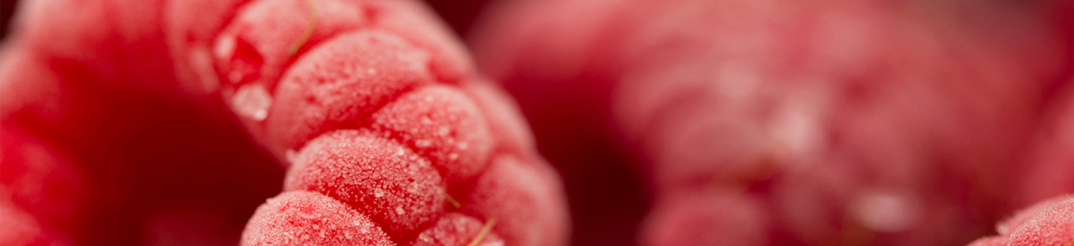 Oferta pracy Kierownik Zmiany Produkcyjnej, ULMER S.K.A., Kłoczew (pow ...