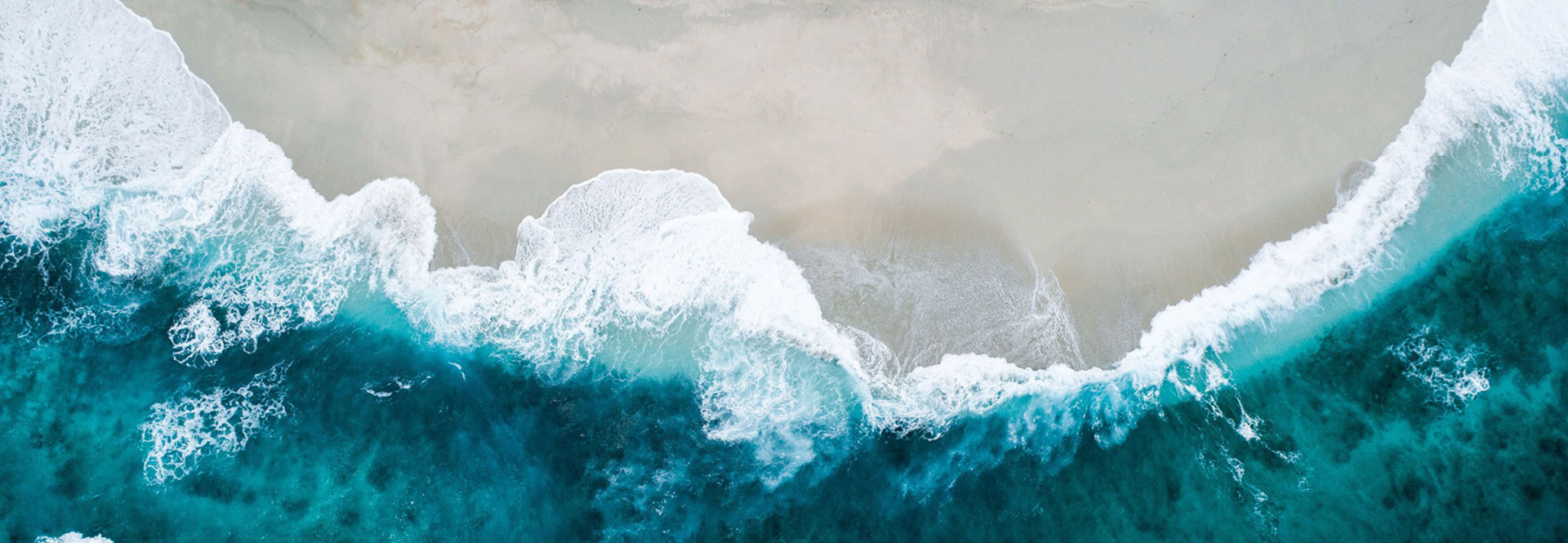 Praca w firmie BASF Catalysts Polska Sp. z o.o. – profil pracodawcy