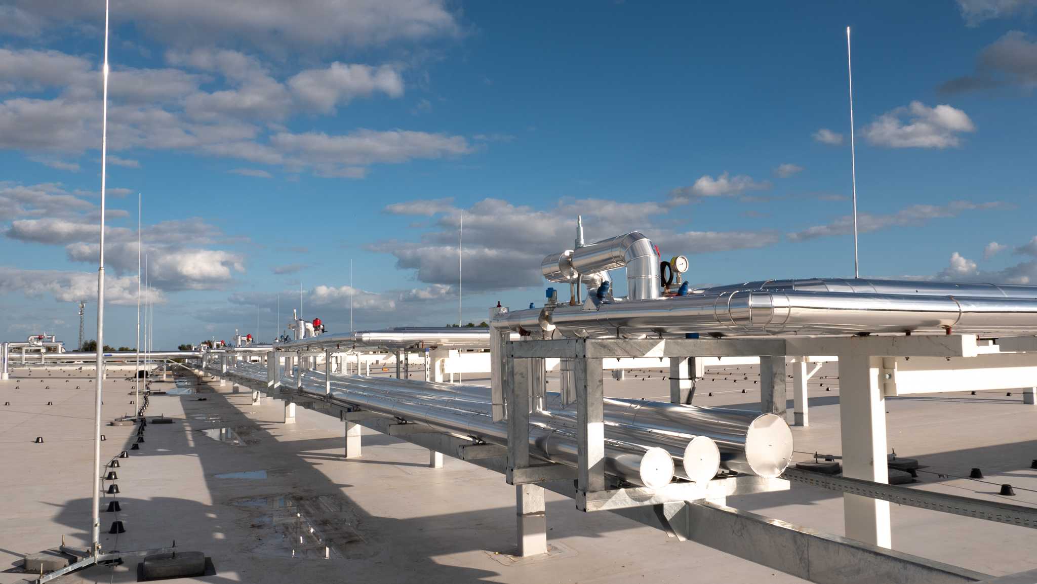 Oferta pracy Młodszy specjalista ds. zakupów i logistyki, FRIZO Sp. z o.o., Miszewko (pow. kartuski)