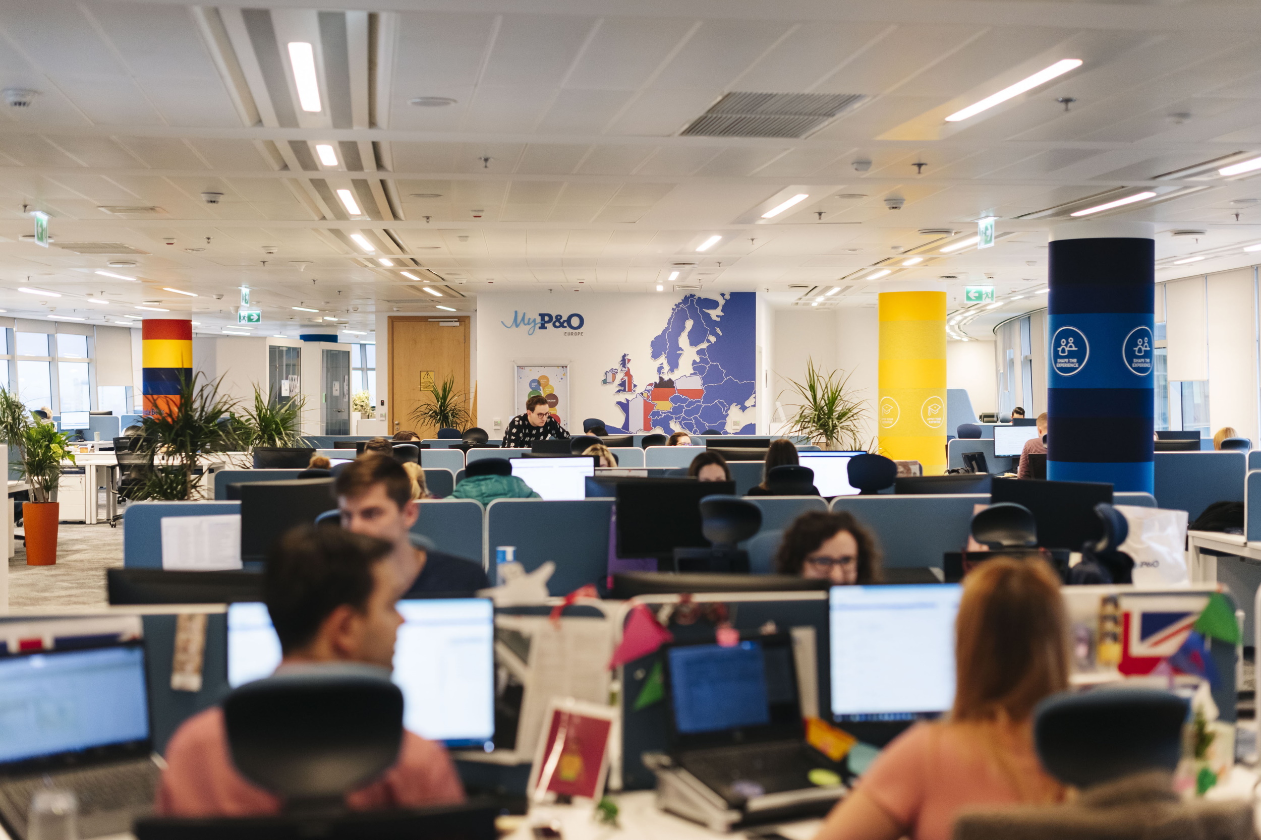 Oferta pracy Management Development Program in Procurement | Mars ...