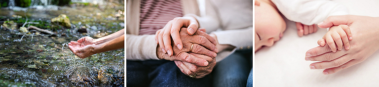 Oferta pracy Quality and Food Safety Senior Manager Plant Process ...