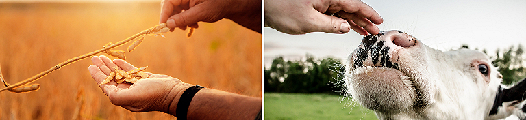 Oferta pracy Internship Program DAN ONE in EU Capability Building Team ...